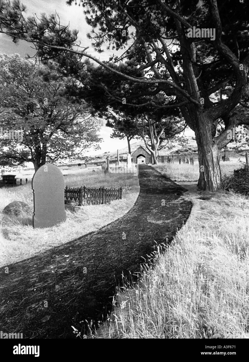 Cemetary Graveyard Path Infrared Stock Photo - Alamy