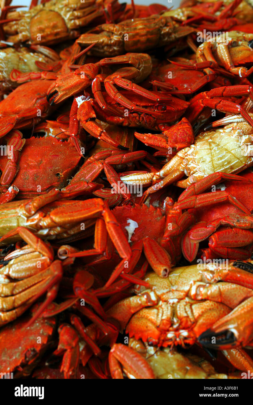 crabs red dead food seafood Stock Photo - Alamy