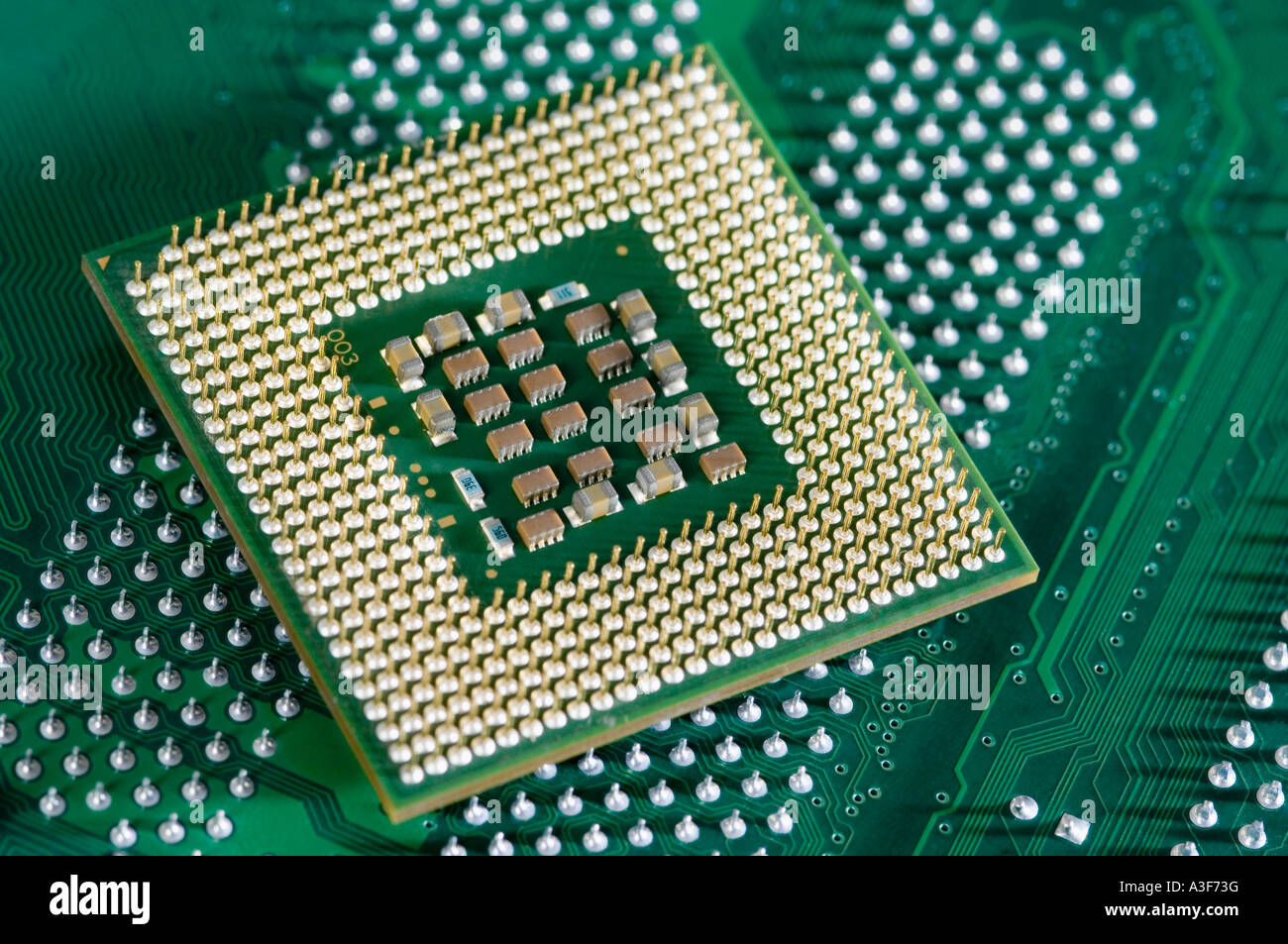 Close-up of a computer microprocessor on a circuit board Stock Photo ...