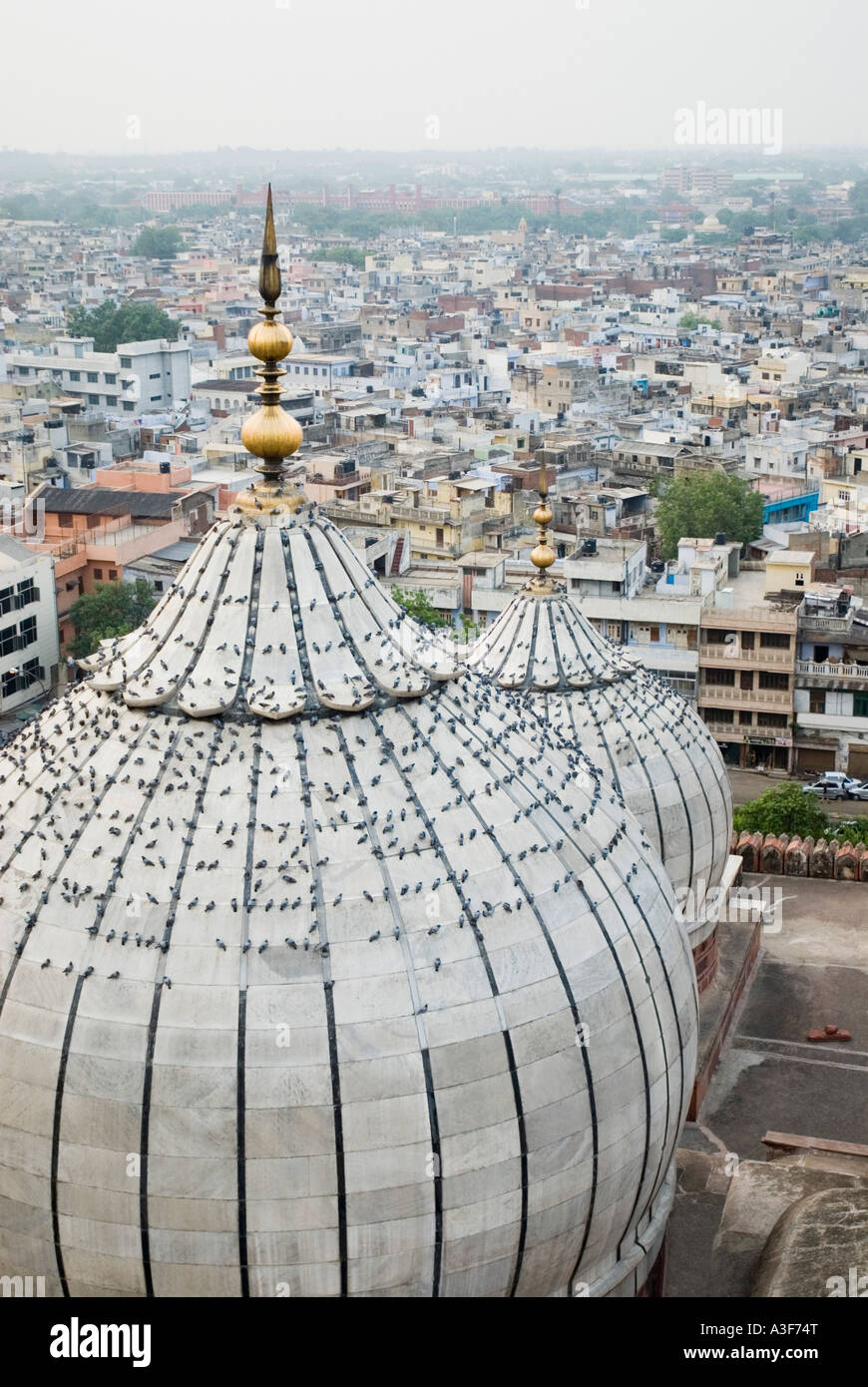 High angle view of domes on a mosque, Jama Masjid, New Delhi, India ...