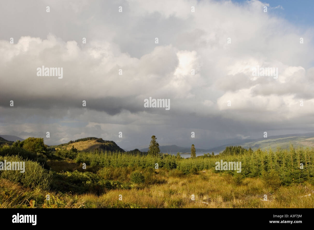 Scottish storm hi-res stock photography and images - Alamy