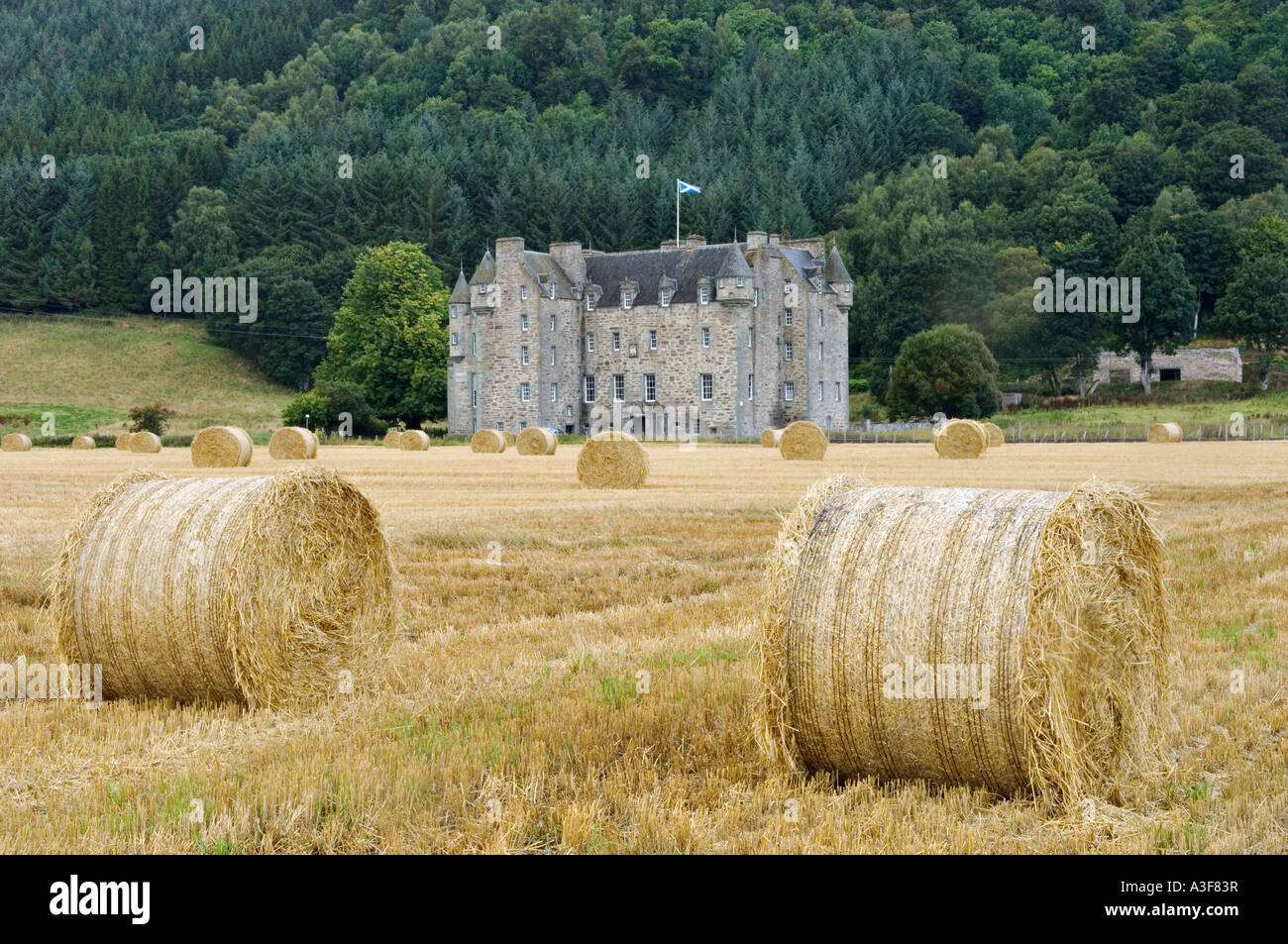 Midieval agriculture hi-res stock photography and images - Alamy