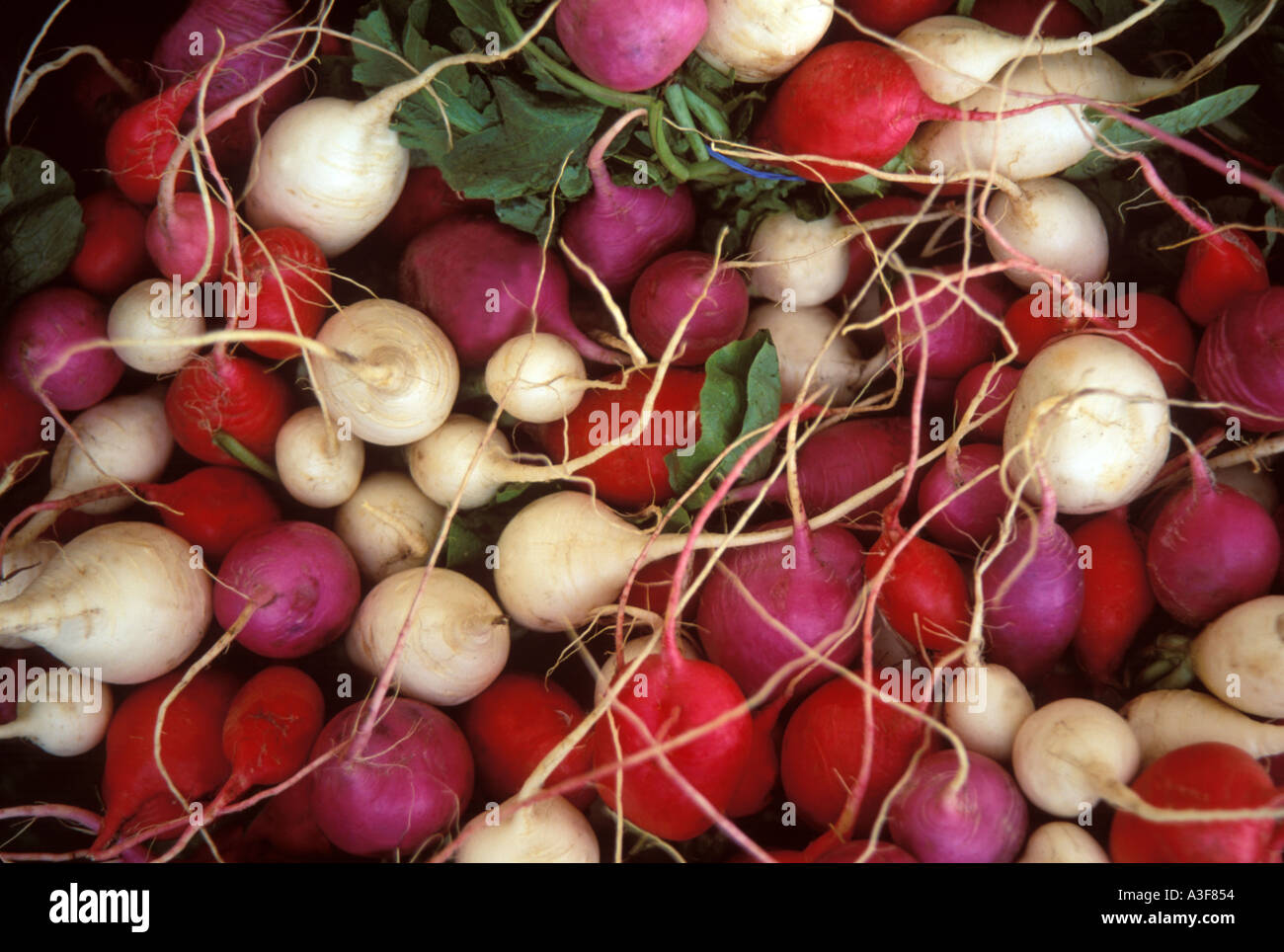 Multi color colour hi-res stock photography and images - Alamy