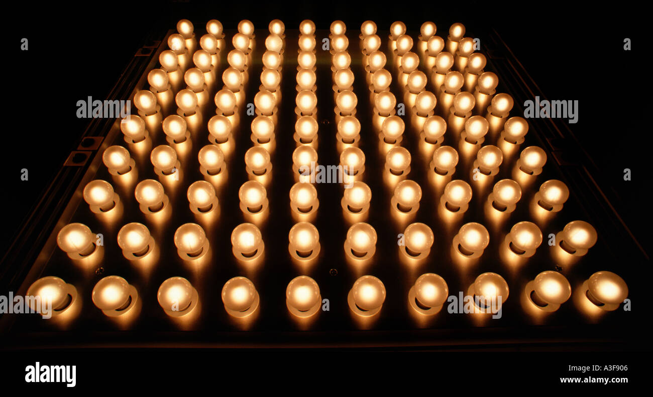 Field of light bulbs from above in perspective Stock Photo - Alamy