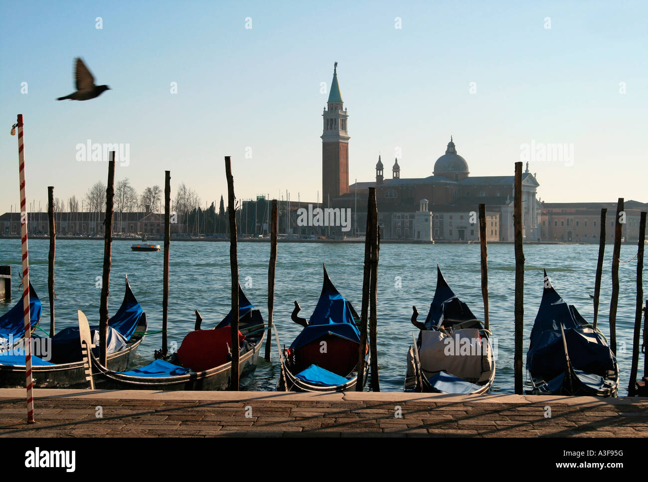 Molo St.Marco, Venice, Italy Stock Photo - Alamy