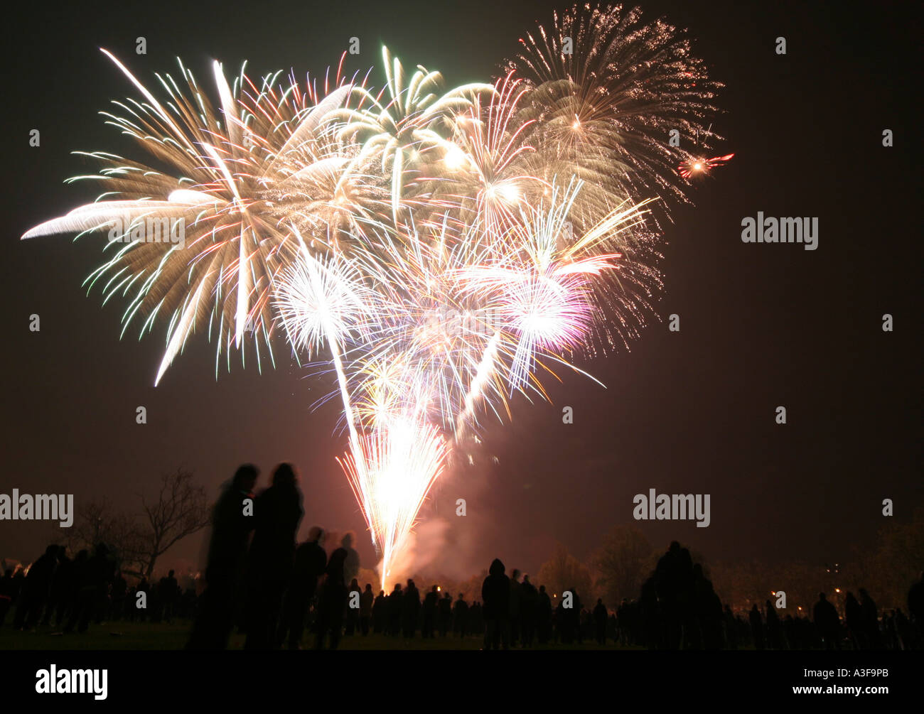 People watching fireworks Stock Photo - Alamy