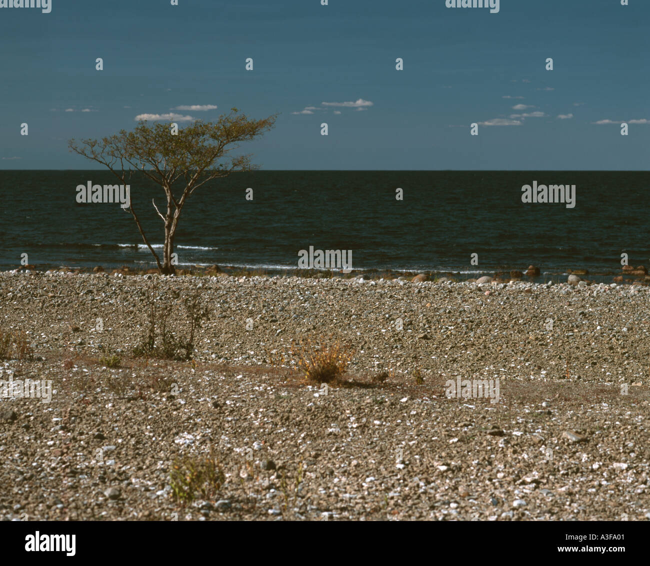 Pebbles beach north western coast oland island sweden Stock Photo - Alamy