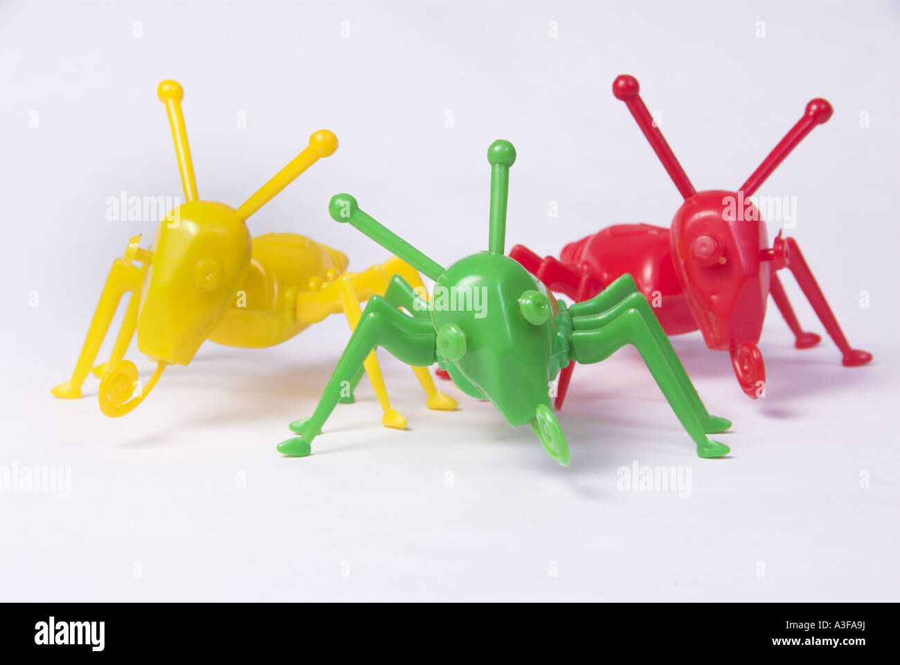 Three plastic beetles beetle drive game Stock Photo - Alamy
