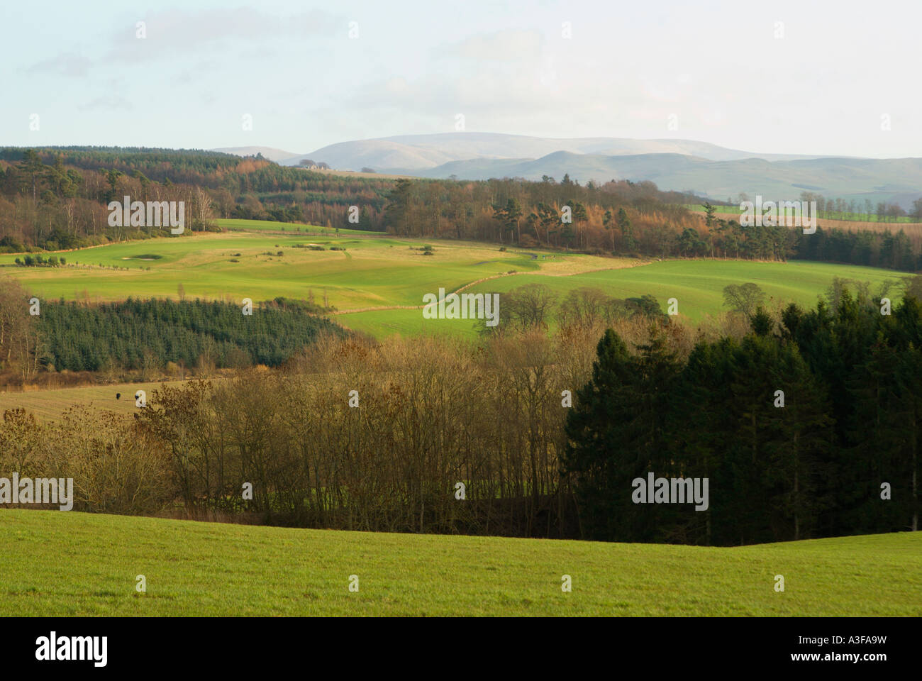 The Roxburgh Golf Course and surrounding scenery in the Scottish ...
