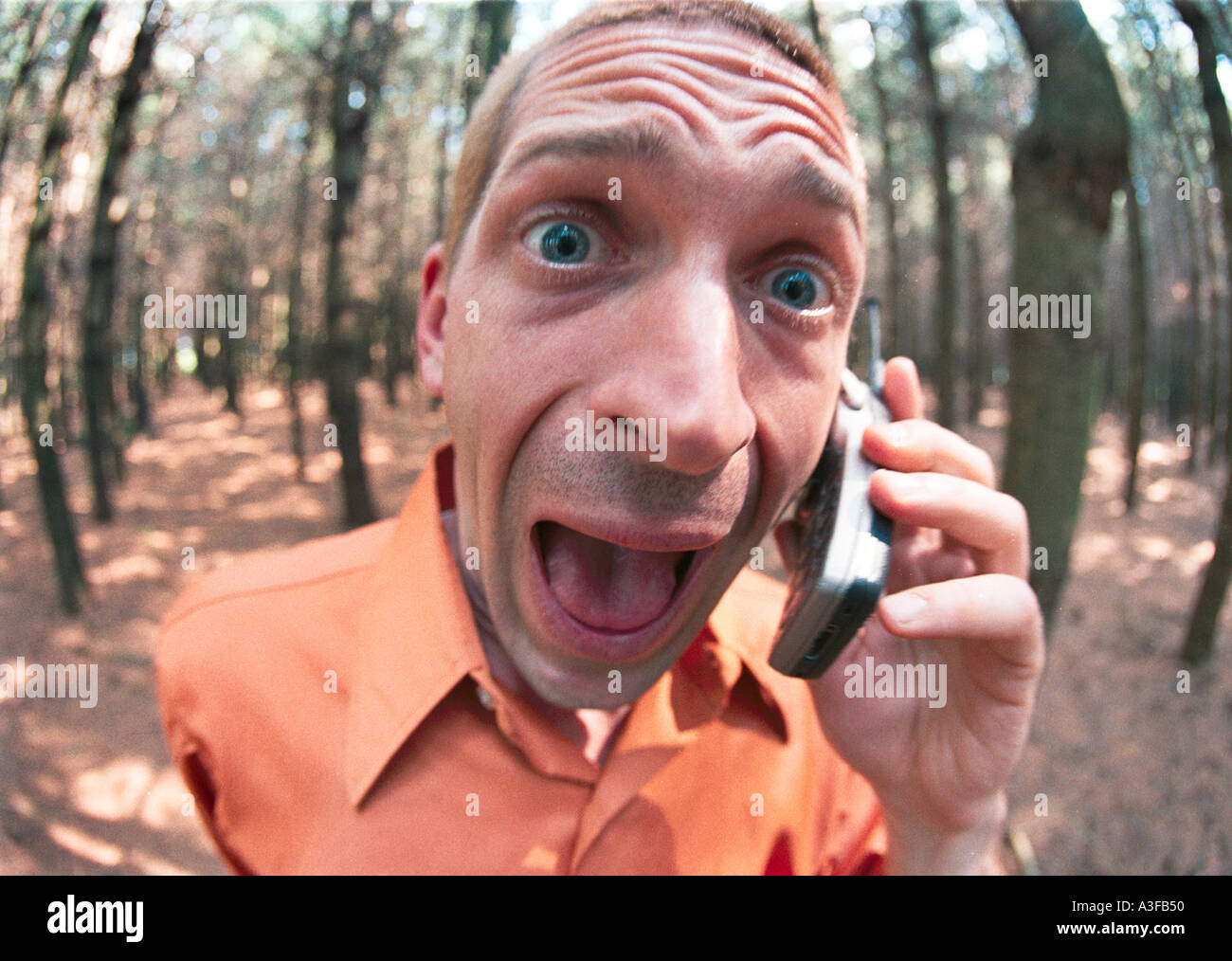 An agitated man yells into a phone in the forest Stock Photo - Alamy