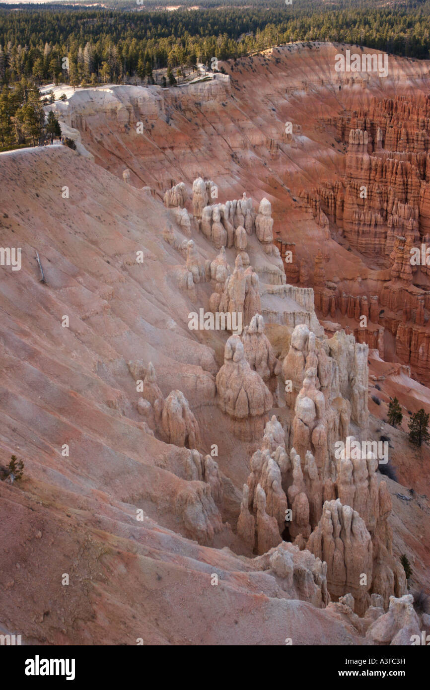 Hoodoos in Bryce Canyon National Park USA Stock Photo - Alamy