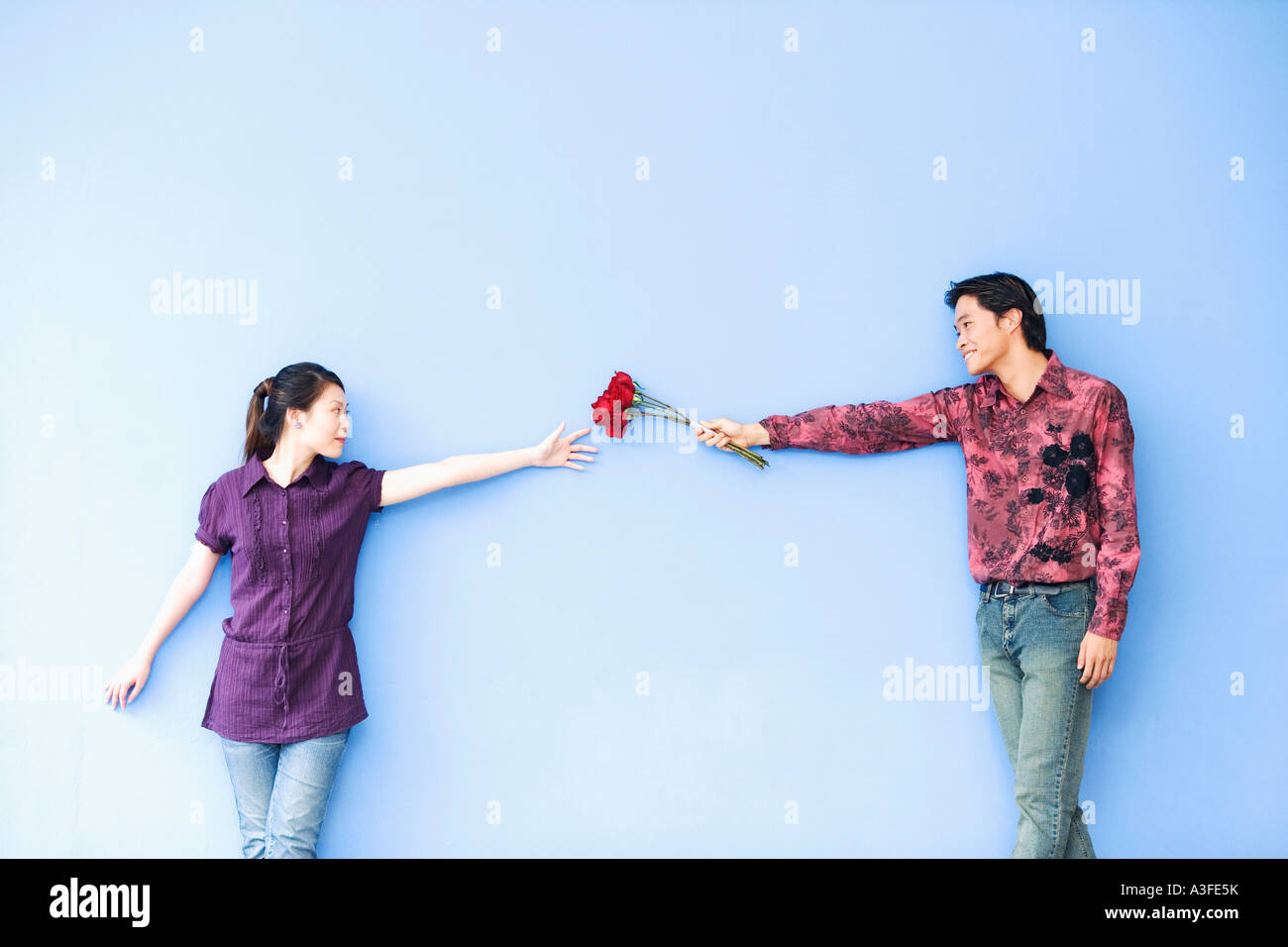 Young man giving roses to a young woman Stock Photo - Alamy