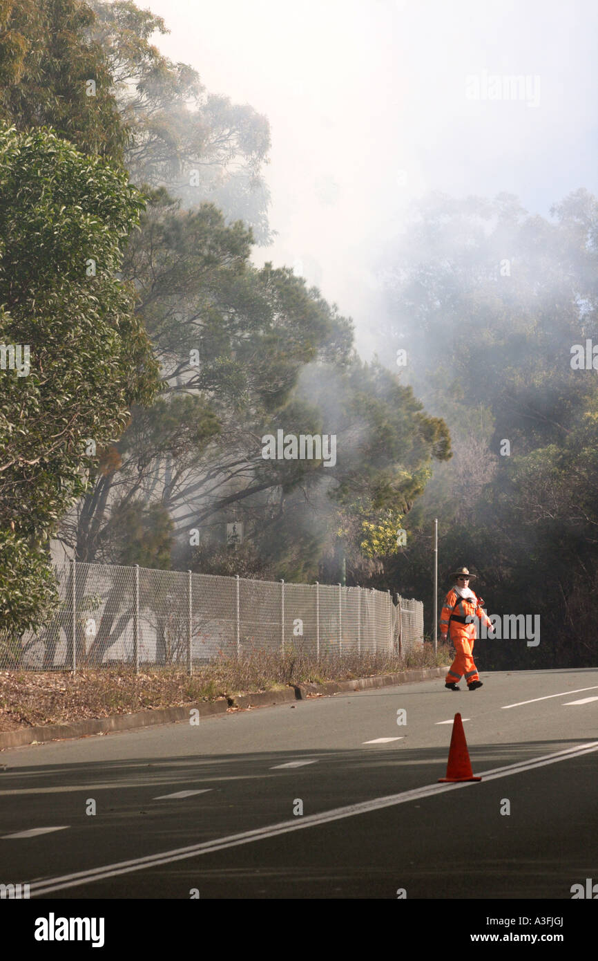 STATE EMERGENCY SERVICE VOLUNTEERS FIGHTING A BUSHFIRE VERTICAL ...