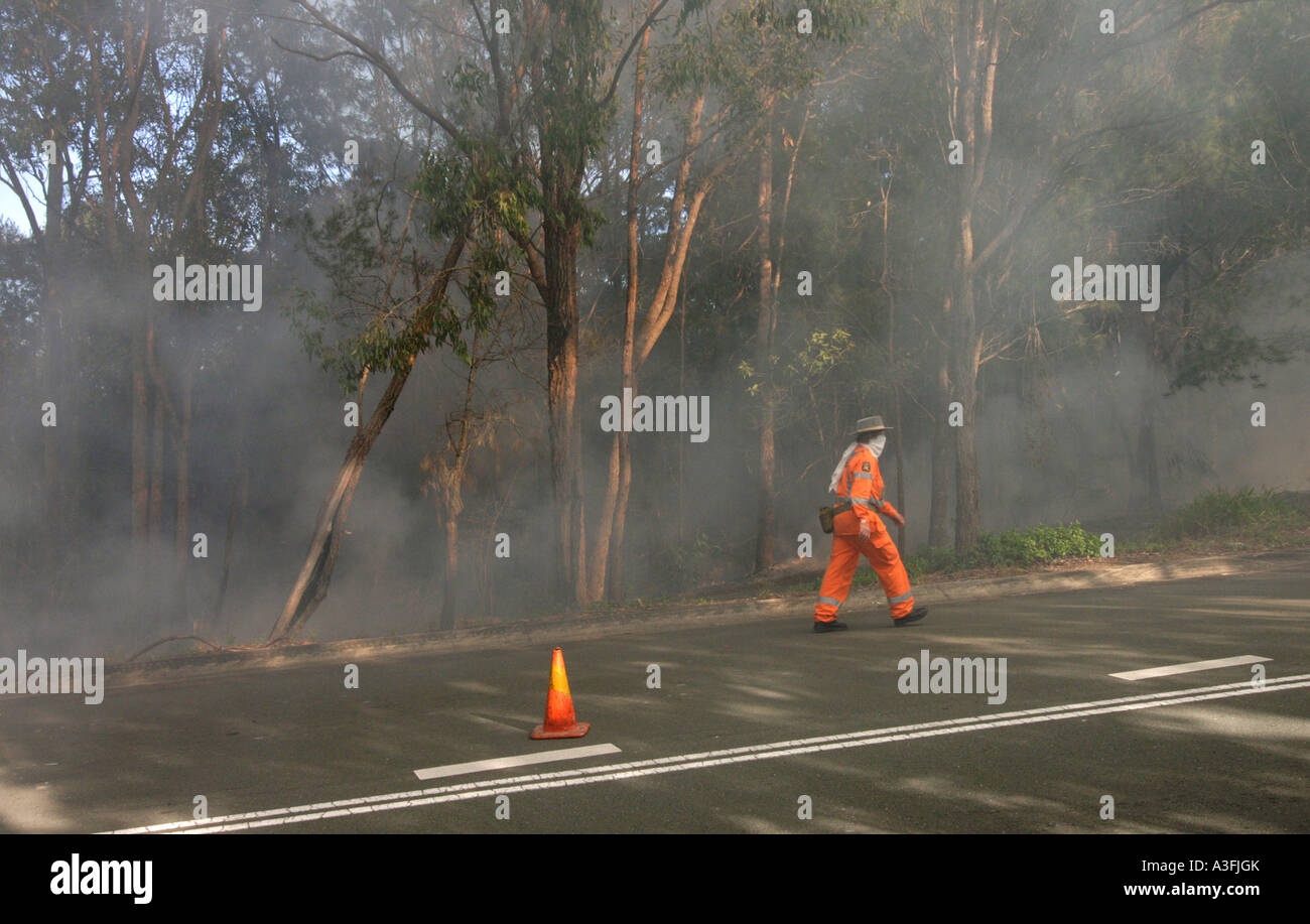 STATE EMERGENCY SERVICE VOLUNTEERS FIGHTING A BUSHFIRE HORIZONTAL ...