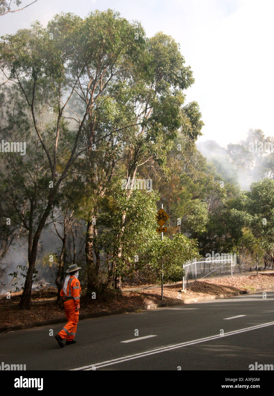 STATE EMERGENCY SERVICE VOLUNTEERS FIGHTING A BUSHFIRE VERTICAL ...