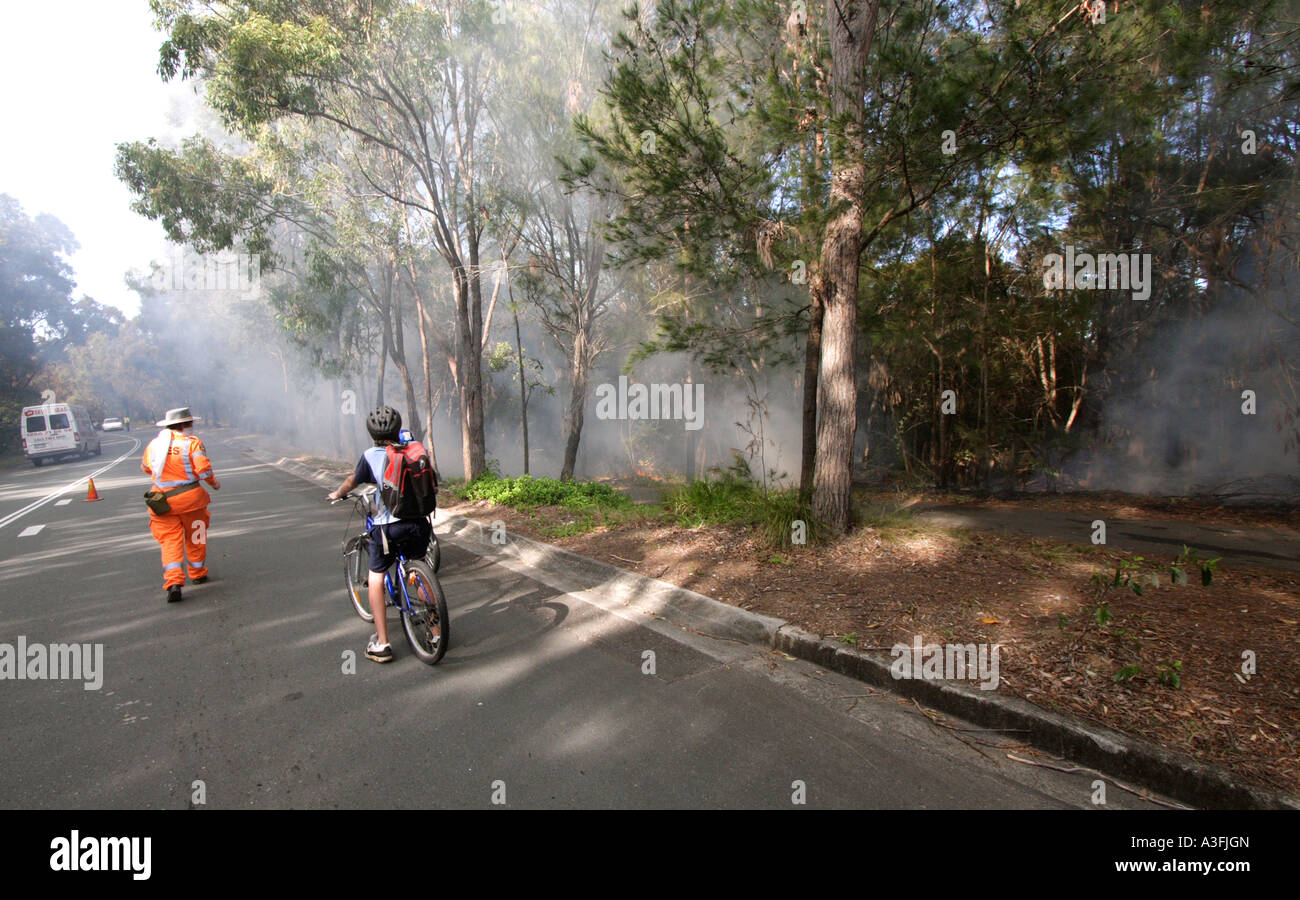 STATE EMERGENCY SERVICE VOLUNTEERS FIGHTING A BUSHFIRE HORIZONTAL ...