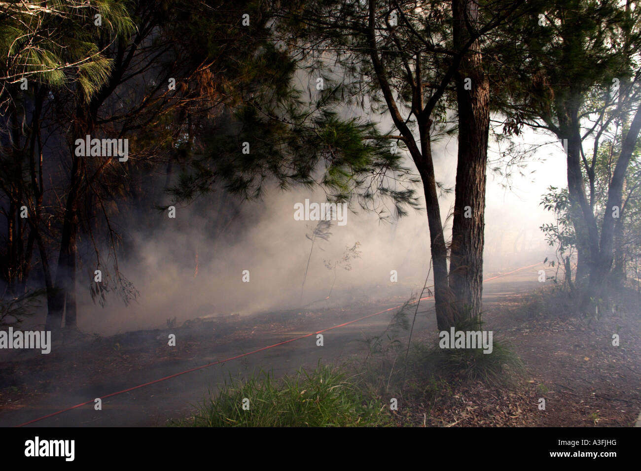 BUSHFIRE HORIZONTAL BAPDB8920 Stock Photo - Alamy