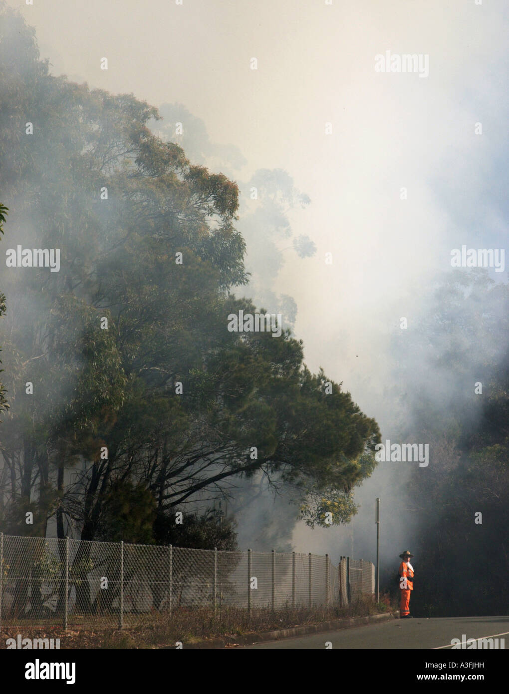 STATE EMERGENCY SERVICE VOLUNTEERS FIGHTING A BUSHFIRE VERTICAL ...