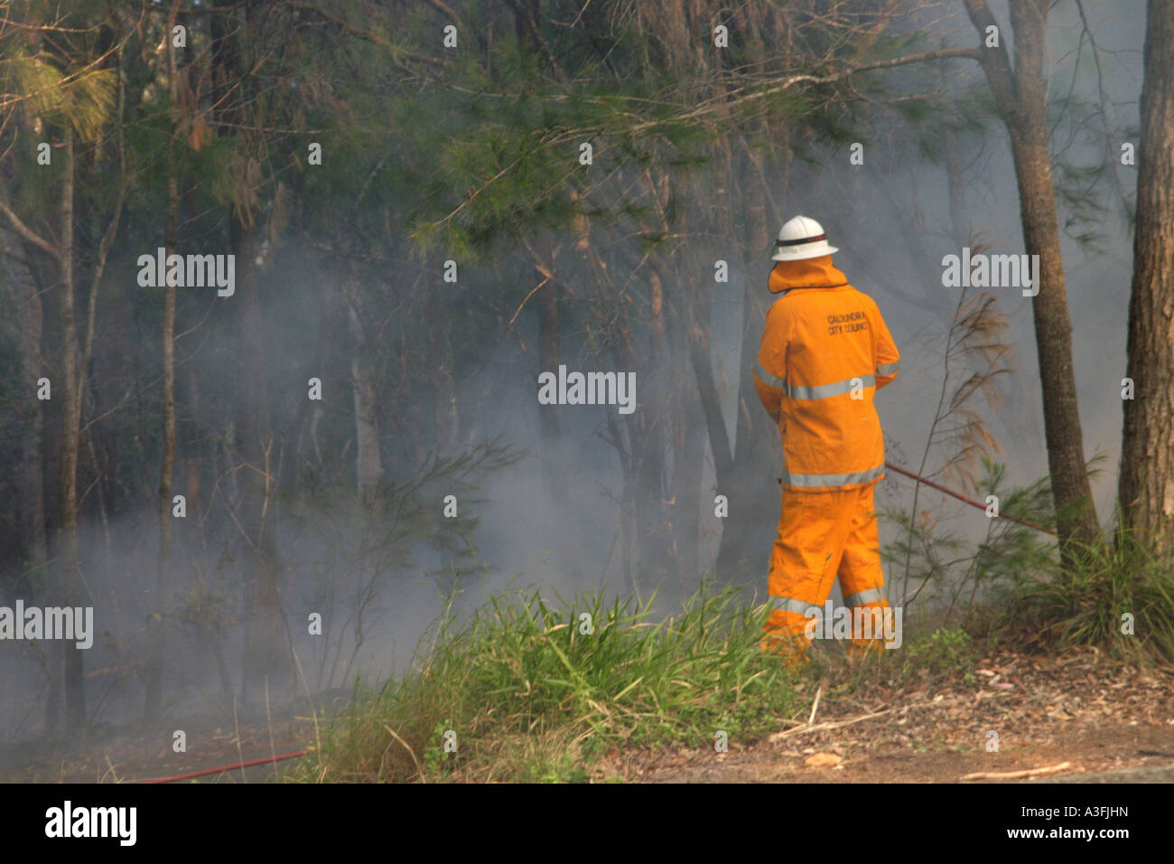 STATE EMERGENCY SERVICE VOLUNTEERS FIGHTING A BUSHFIRE HORIZONTAL ...