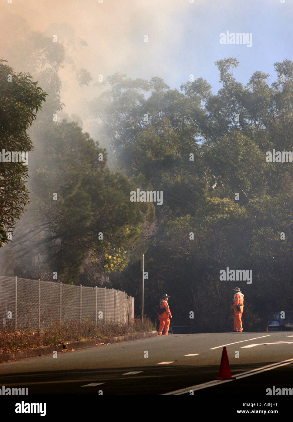 STATE EMERGENCY SERVICE VOLUNTEERS FIGHTING A BUSHFIRE VERTICAL ...