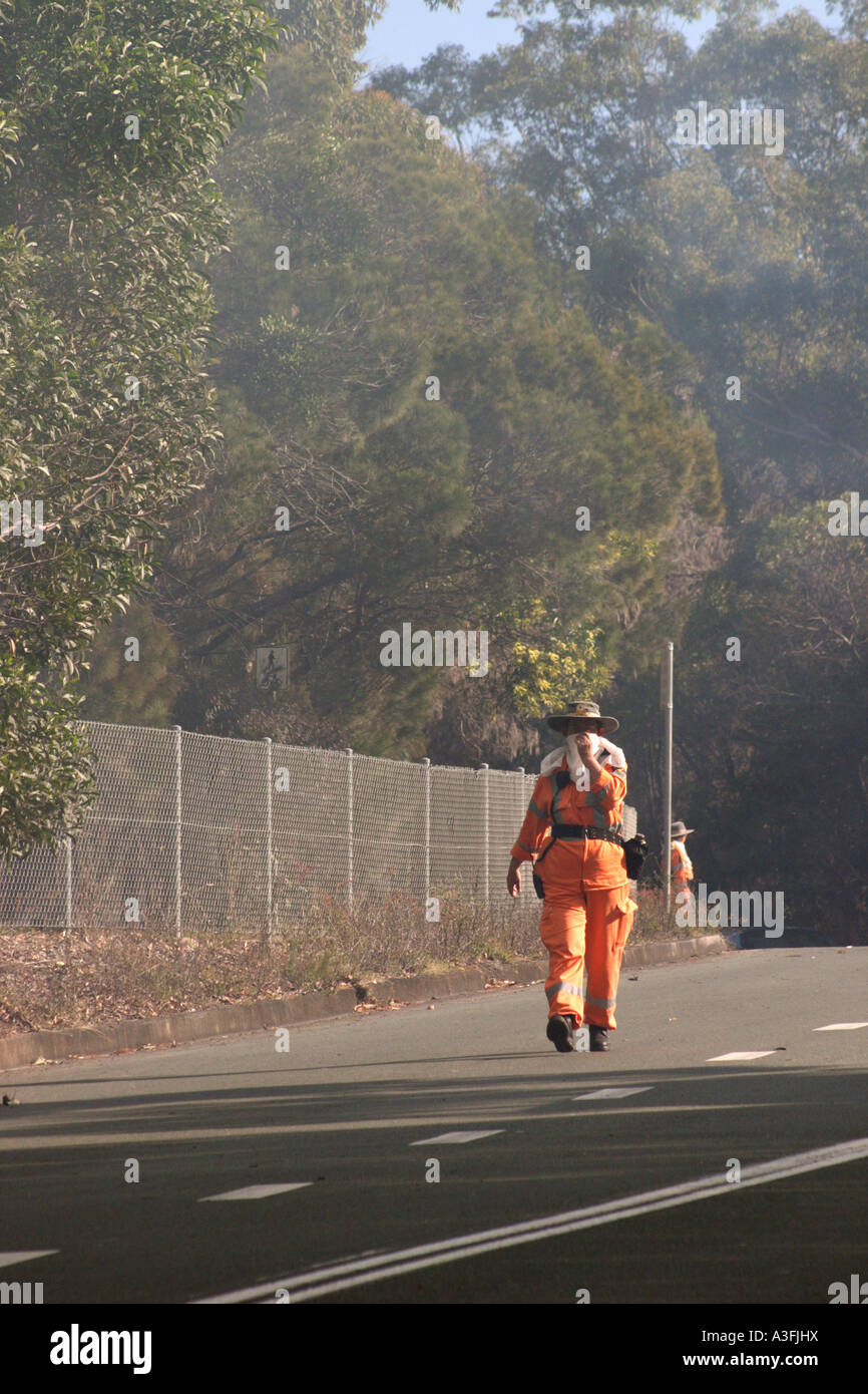 STATE EMERGENCY SERVICE VOLUNTEERS FIGHTING A BUSHFIRE VERTICAL ...