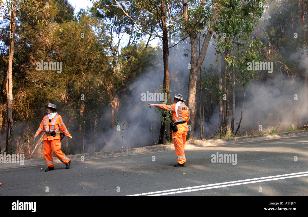STATE EMERGENCY SERVICE VOLUNTEERS FIGHTING A BUSHFIRE HORIZONTAL ...