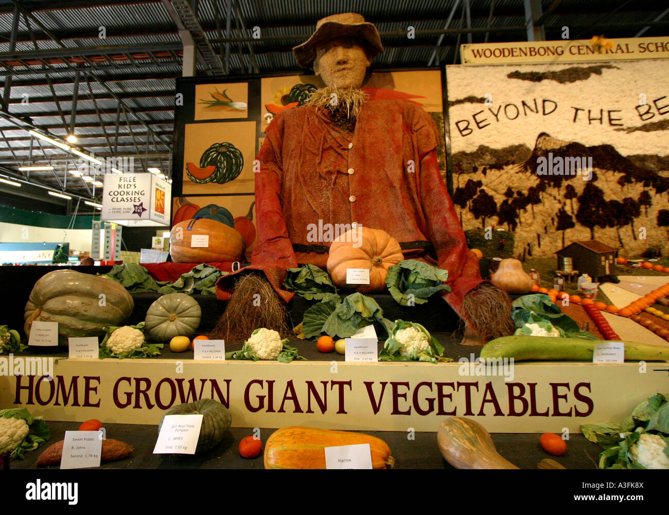 FRUIT AND VEGETABLE DISPLAY AGRICULTURAL SHOW HORIZONTAL BAPDB9069 ...