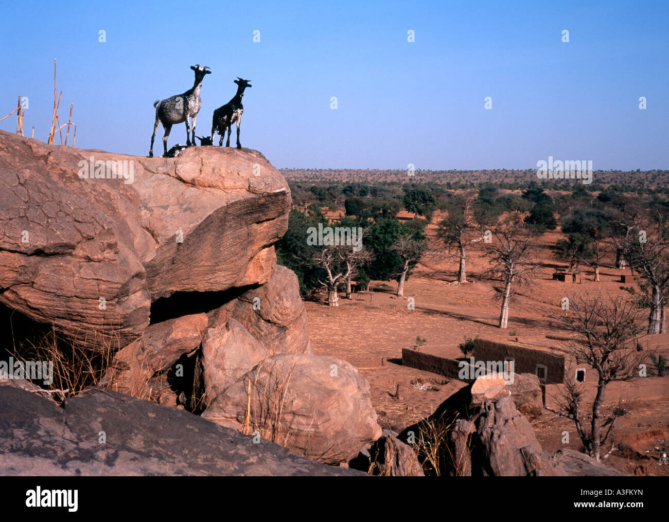 Bandiagara escarpment in mali hi-res stock photography and images - Alamy