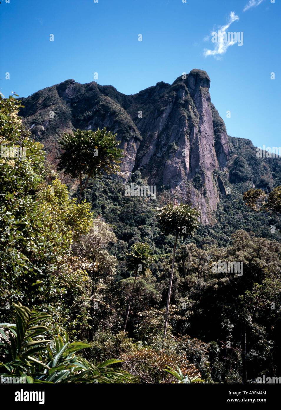 A towering cliff rises clear of the rainforest in the remote Marojejy ...