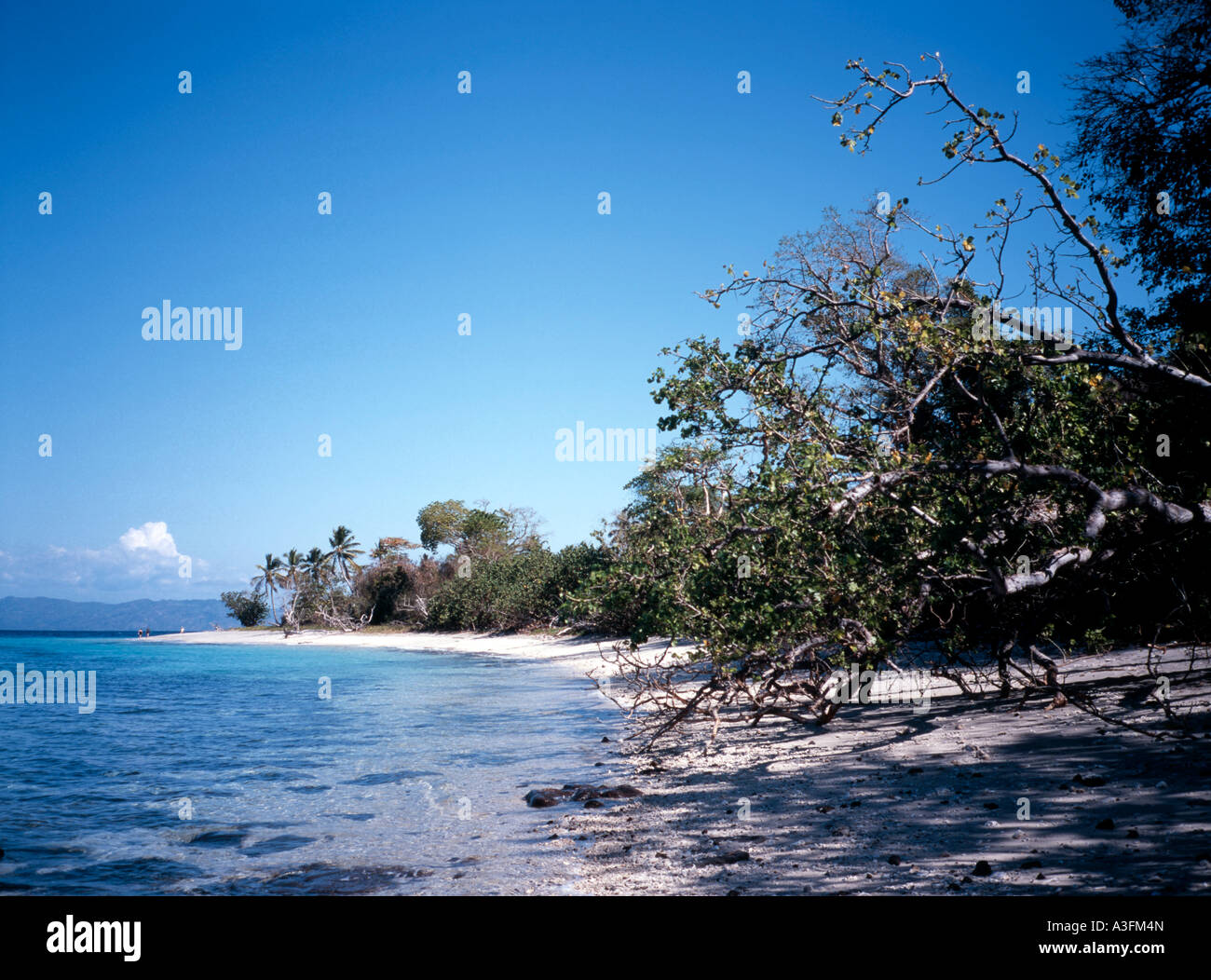 Tropical beach of Nosy Tanikely near Nosy Be Madagascar Stock Photo - Alamy