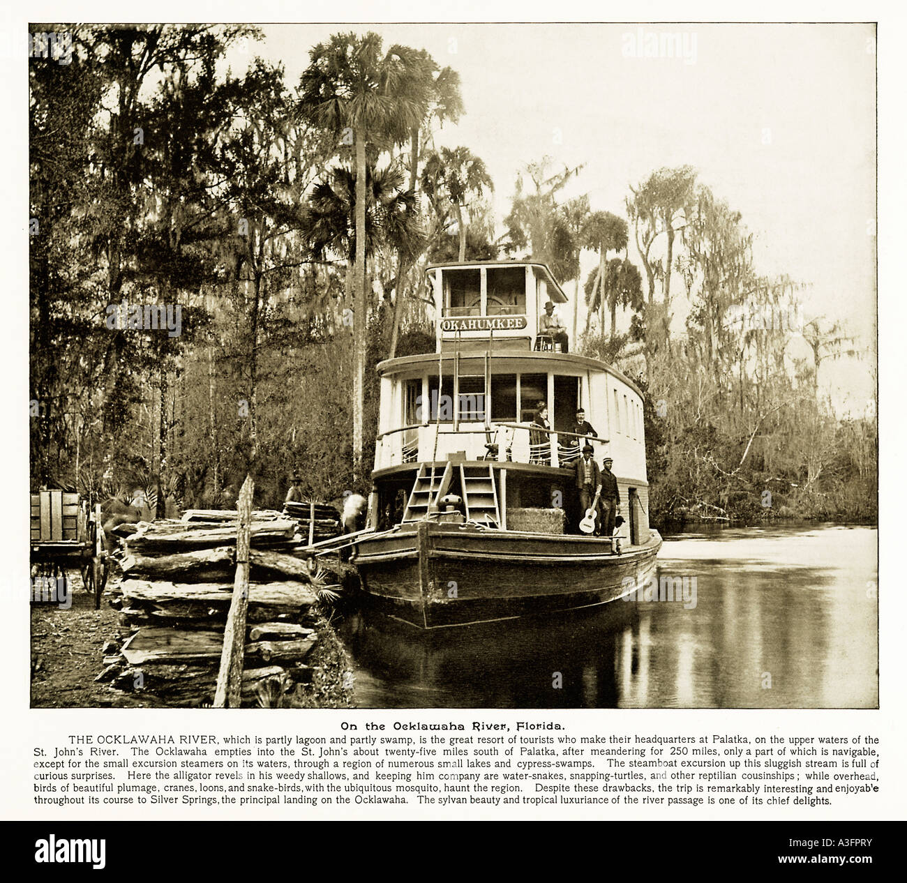 On The Ocklawaha River Florida 1890s photo of the Okahumkee built 1873 ...