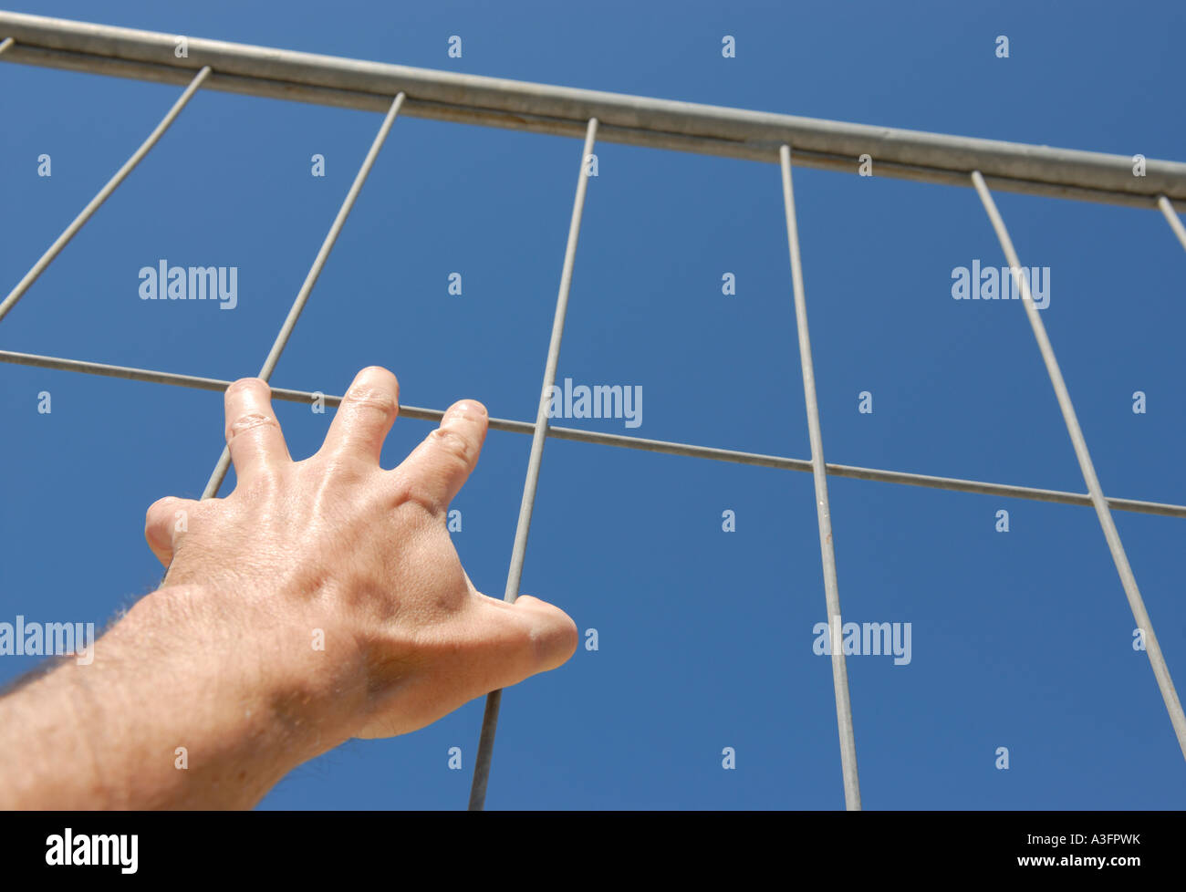 HAND ON METAL FENCE Stock Photo - Alamy