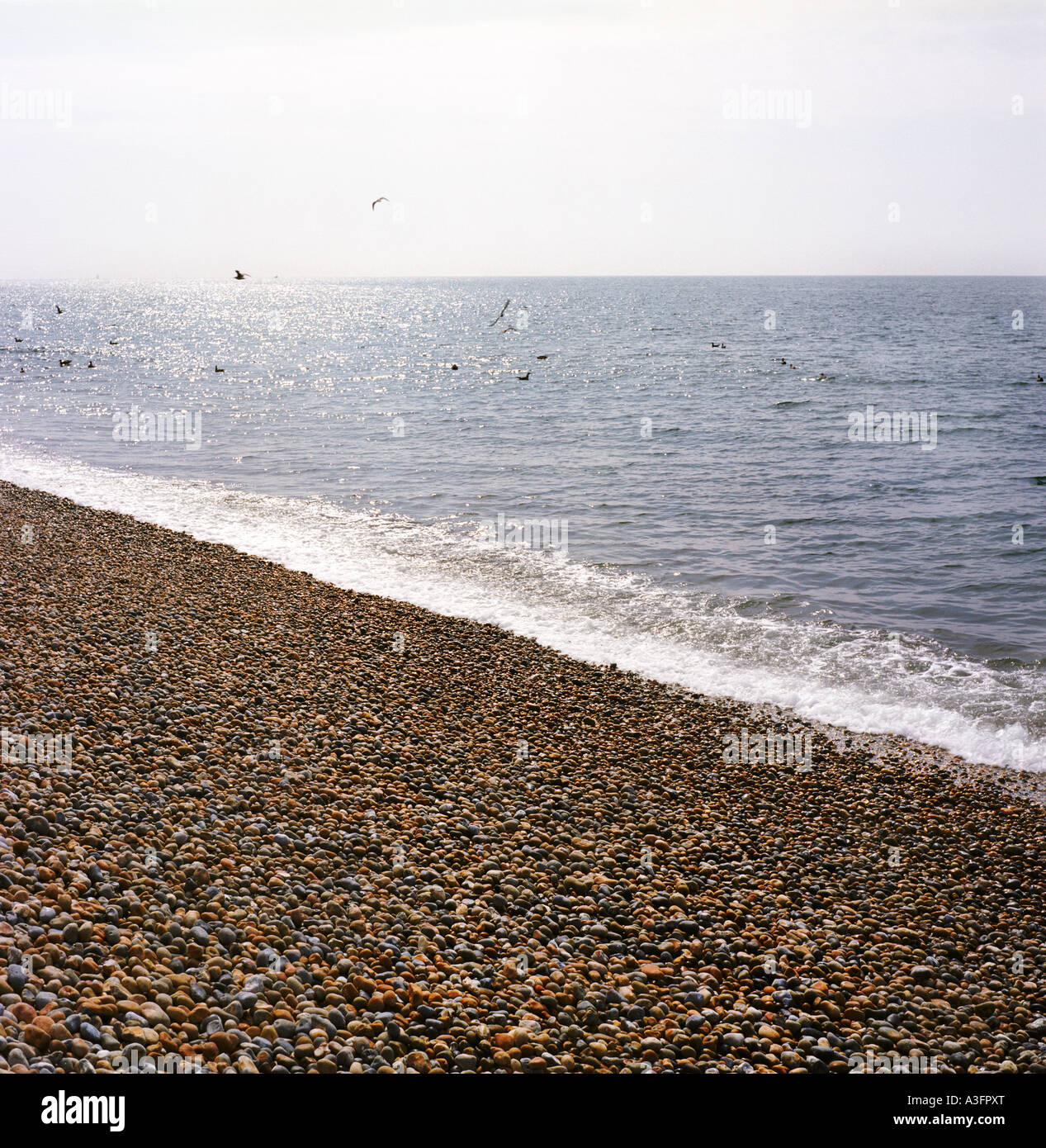 The beach at Hastings Stock Photo - Alamy