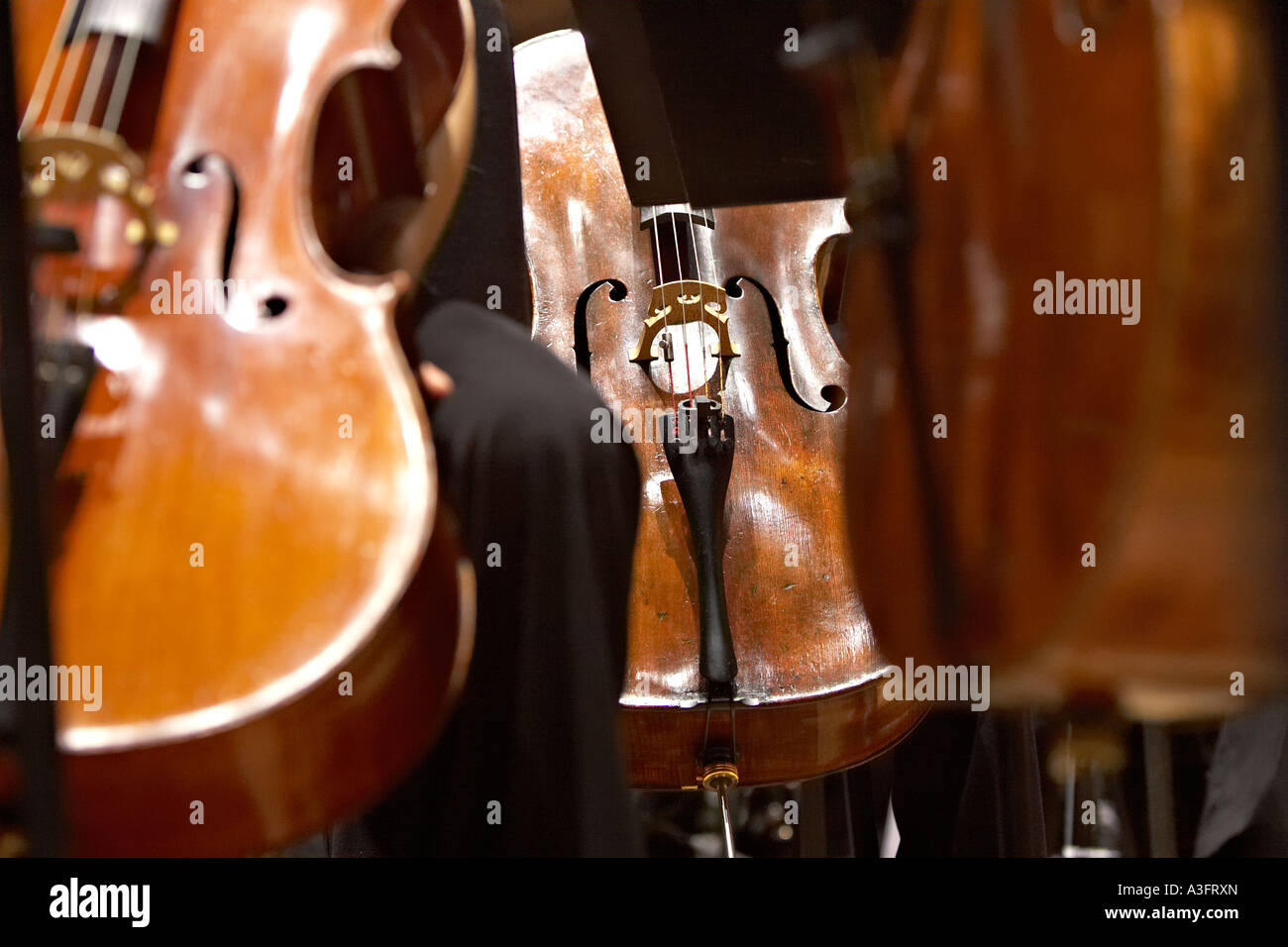 Cellists in concert Stock Photo - Alamy