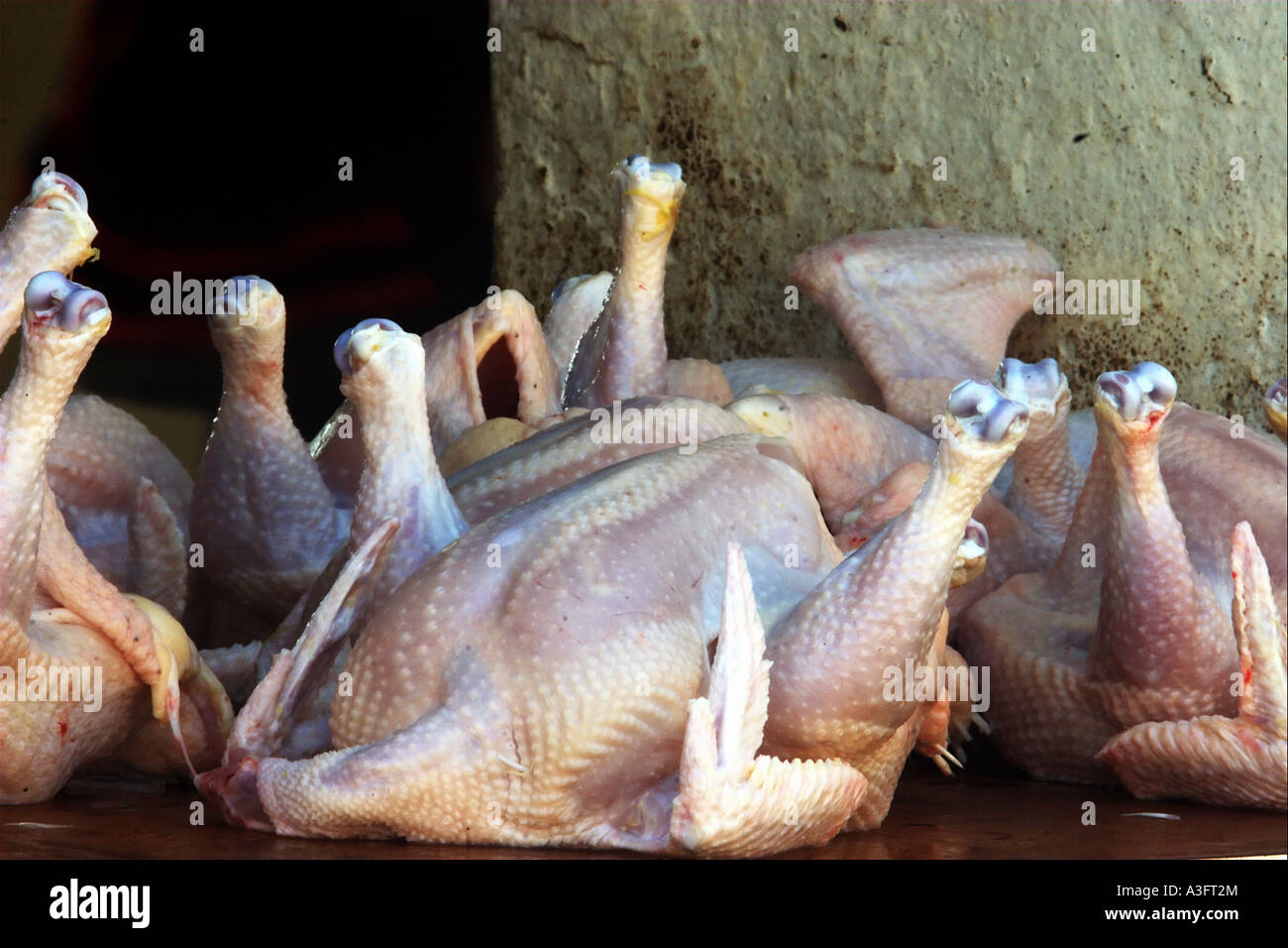 Israel the Lower Galilee Nazareth Chicken meat on display in an out ...