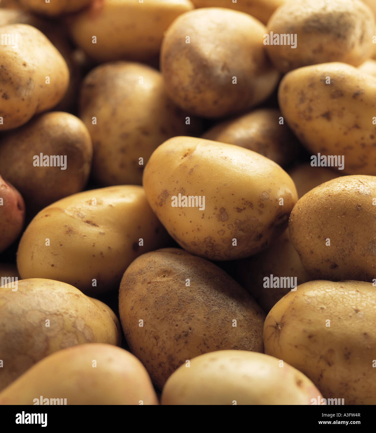 A pile of organic whole raw potatoes editorial food Stock Photo - Alamy