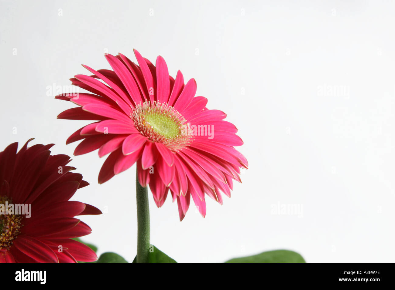 Expansive plain hi-res stock photography and images - Alamy