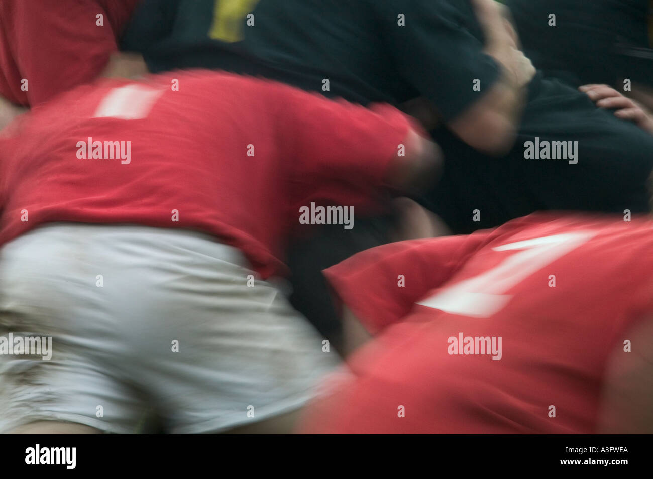 Rugby football teams during scrum Stock Photo - Alamy