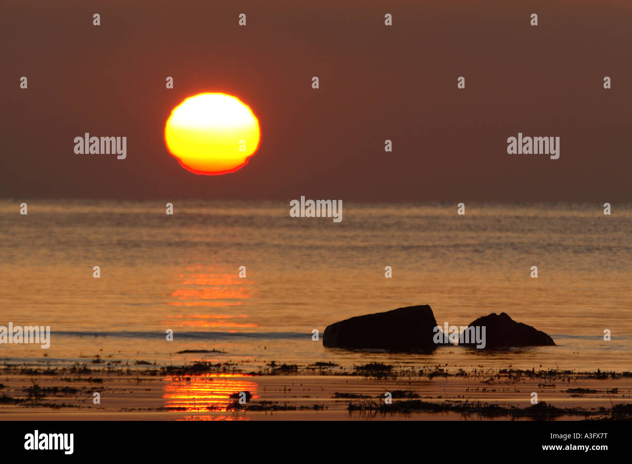 white red and yellow sun rising over golden sea distorted by ...