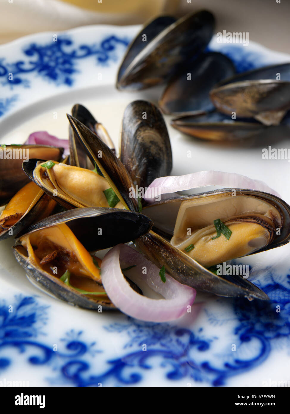 Scottish loch rope farmed mussels hi-res stock photography and images ...