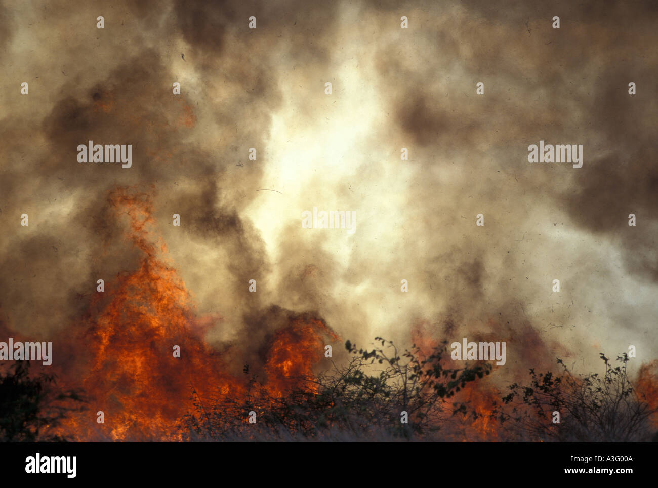 Emergencies and disasters smoke air pollution burning hi-res stock ...