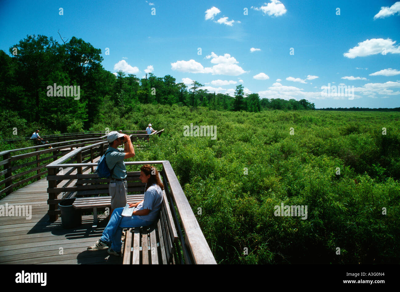 Corkscrew swamp sanctuary naples hi-res stock photography and images ...