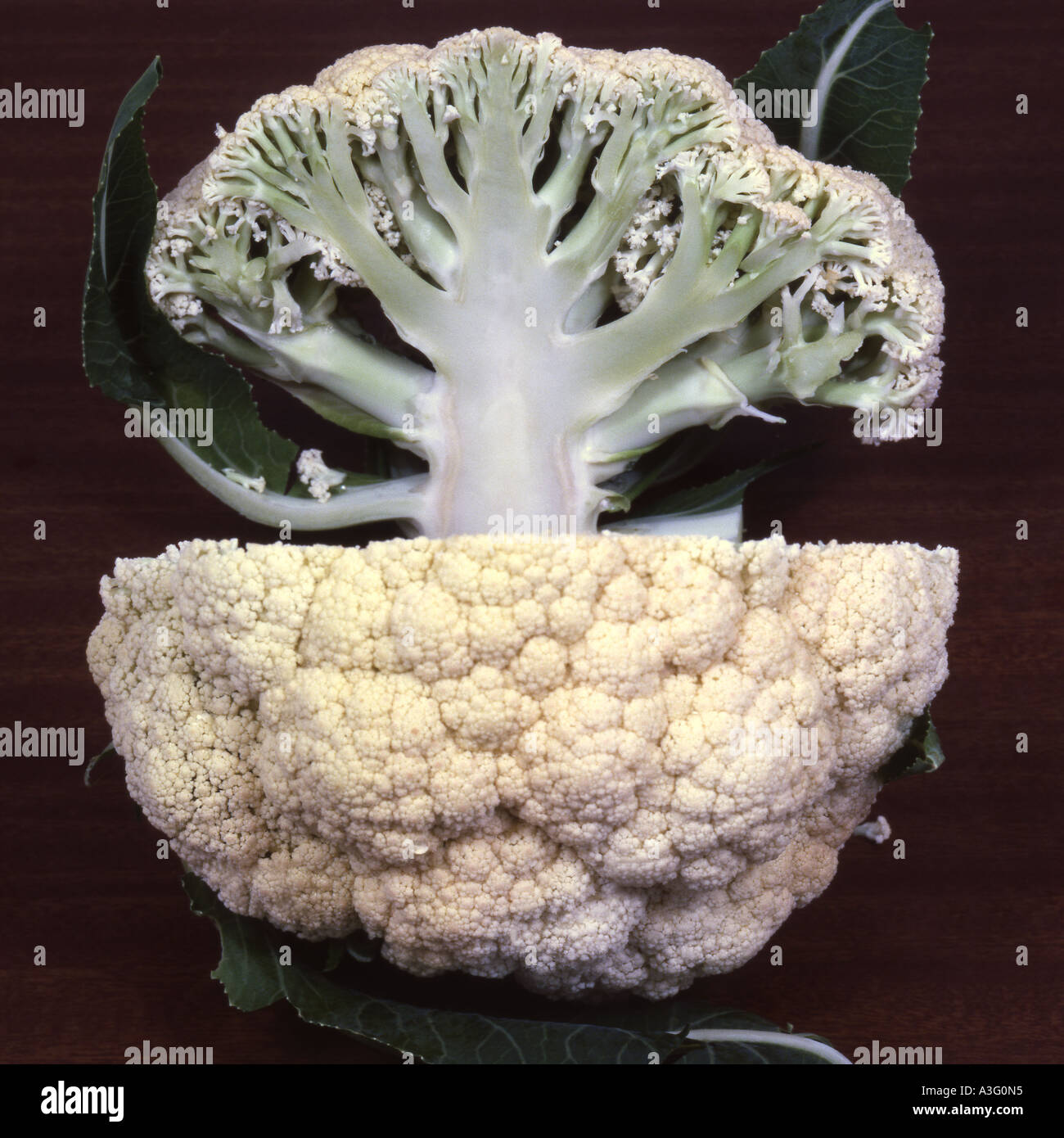 Cauliflower snowball hi-res stock photography and images - Alamy