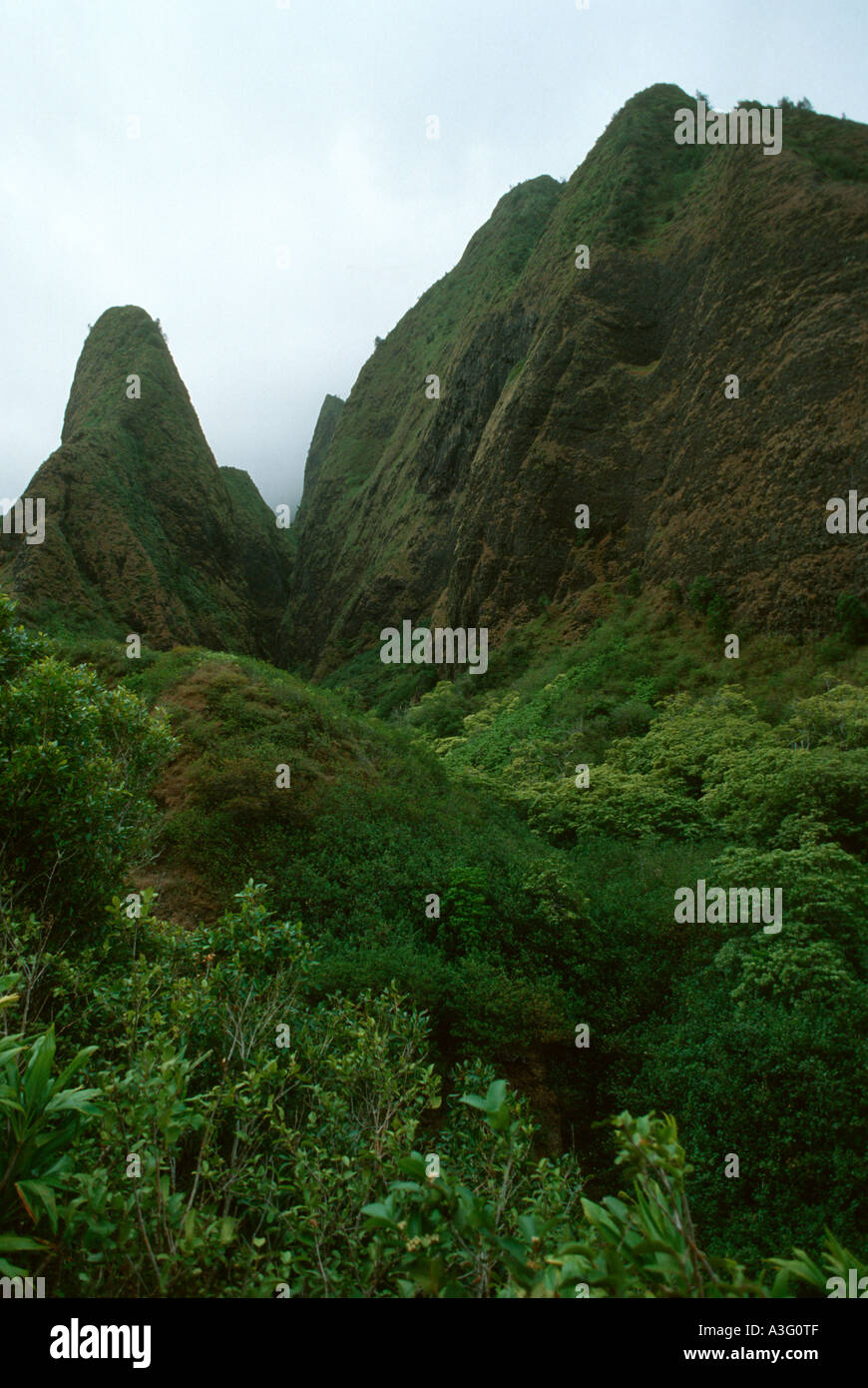 Aloha state park hi-res stock photography and images - Alamy
