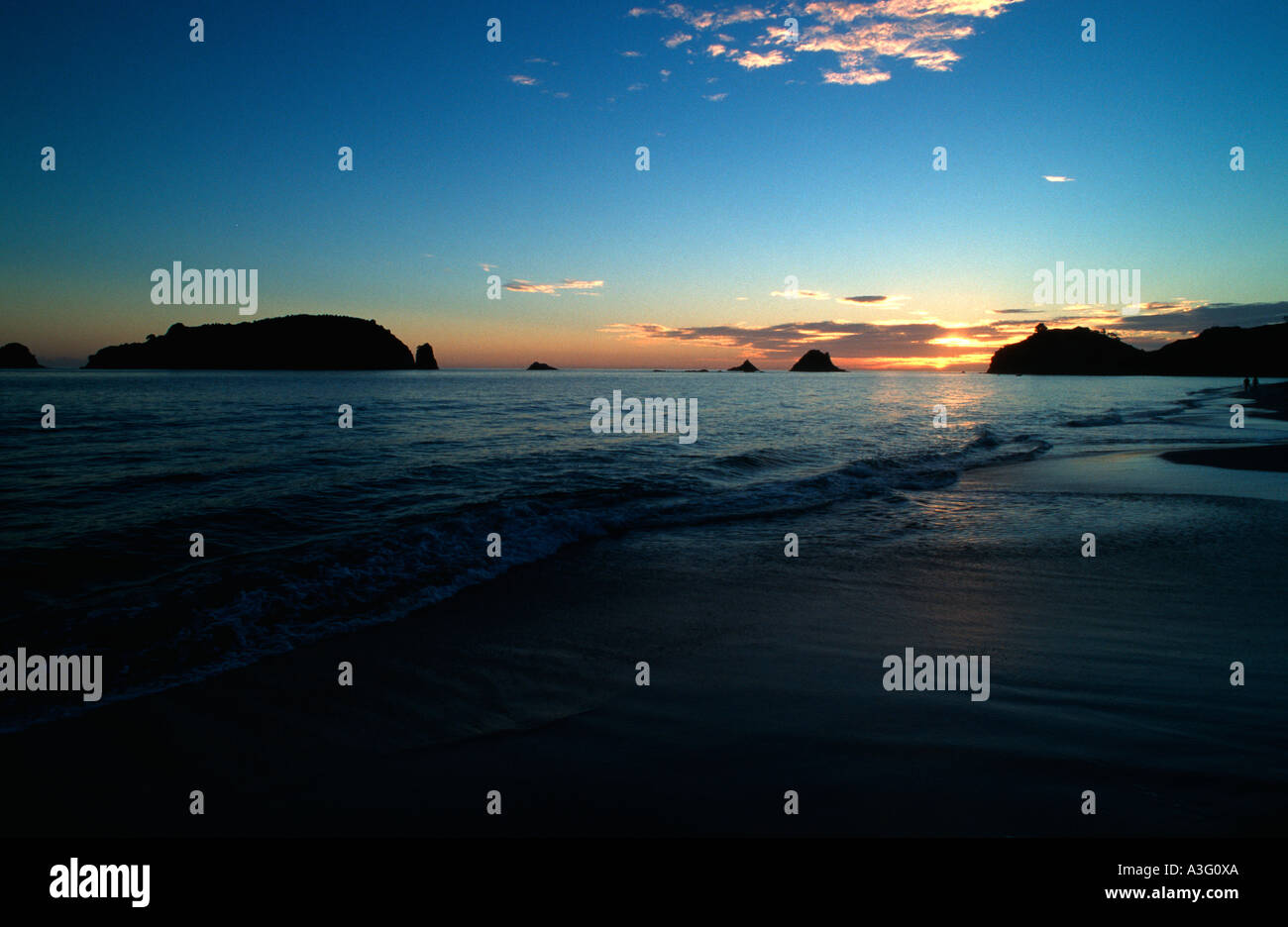 New Zealand Coromandel Hahei Beach sunset Stock Photo - Alamy
