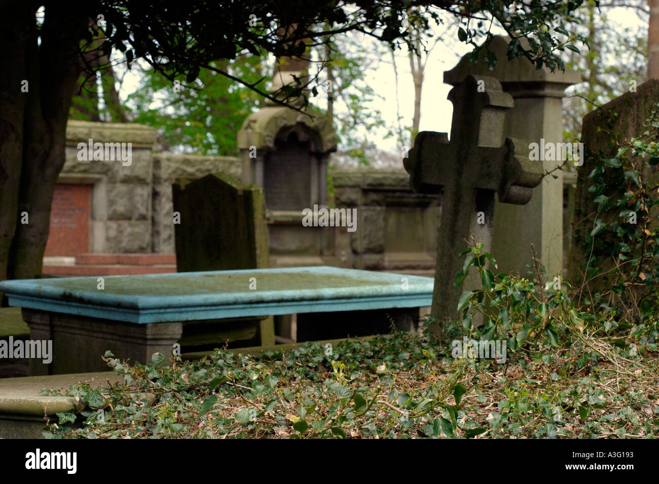 Vegetal vault hi-res stock photography and images - Alamy
