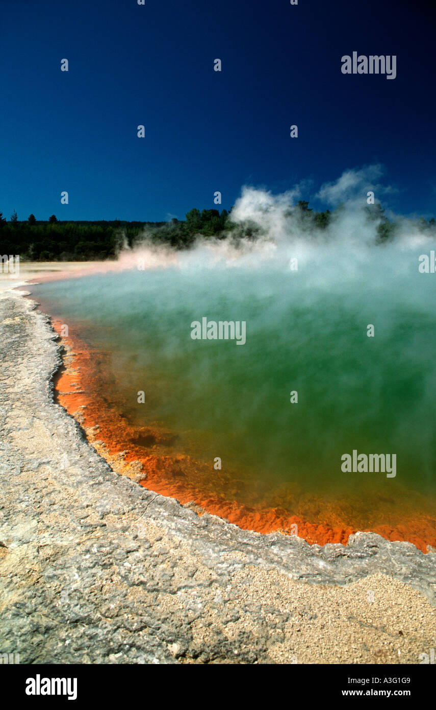 Champagne Pool Wai O Tapu Thermal Reserve Rotorua North Island New ...