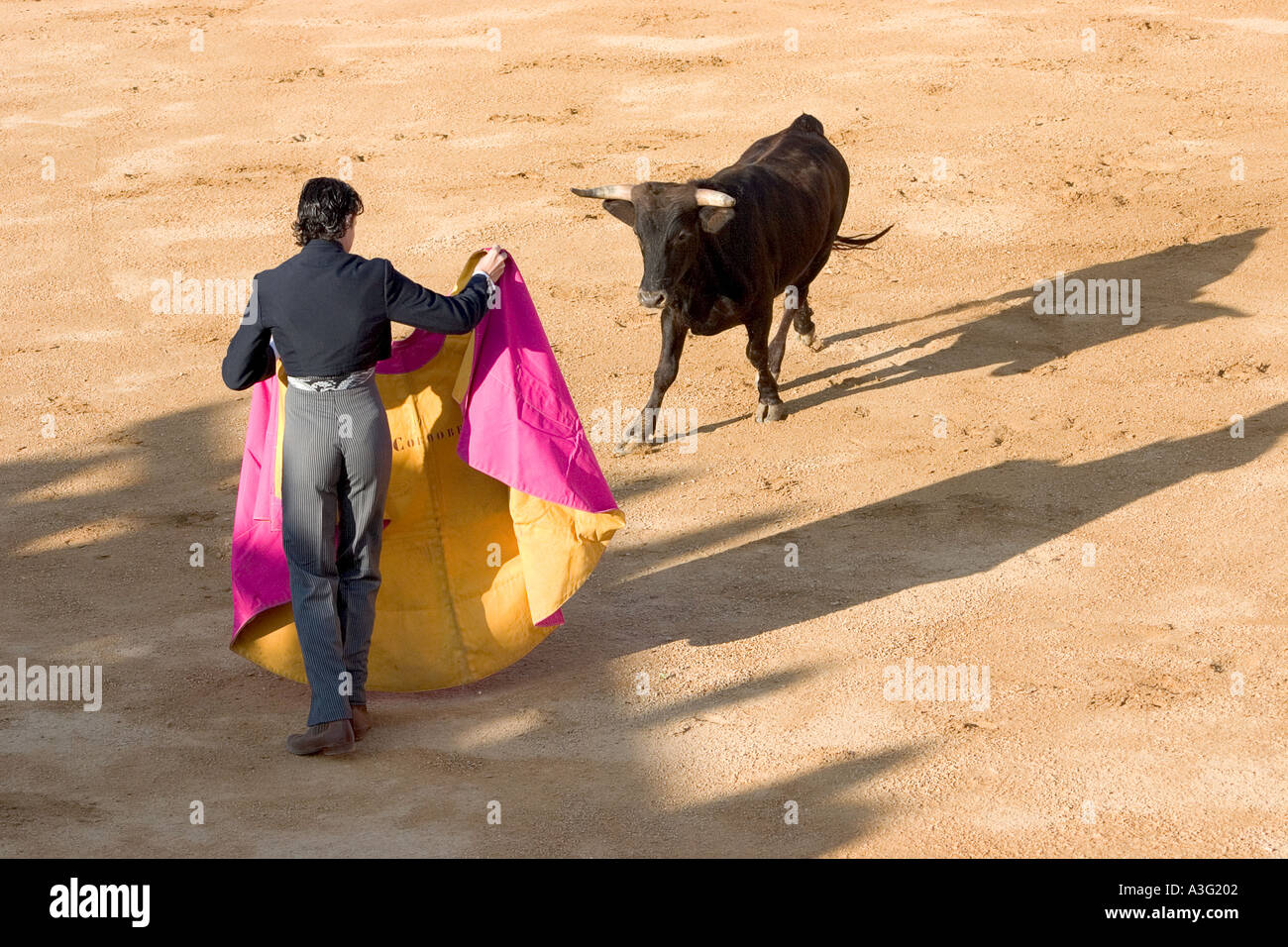 Opening stages of Bullfight Stock Photo - Alamy