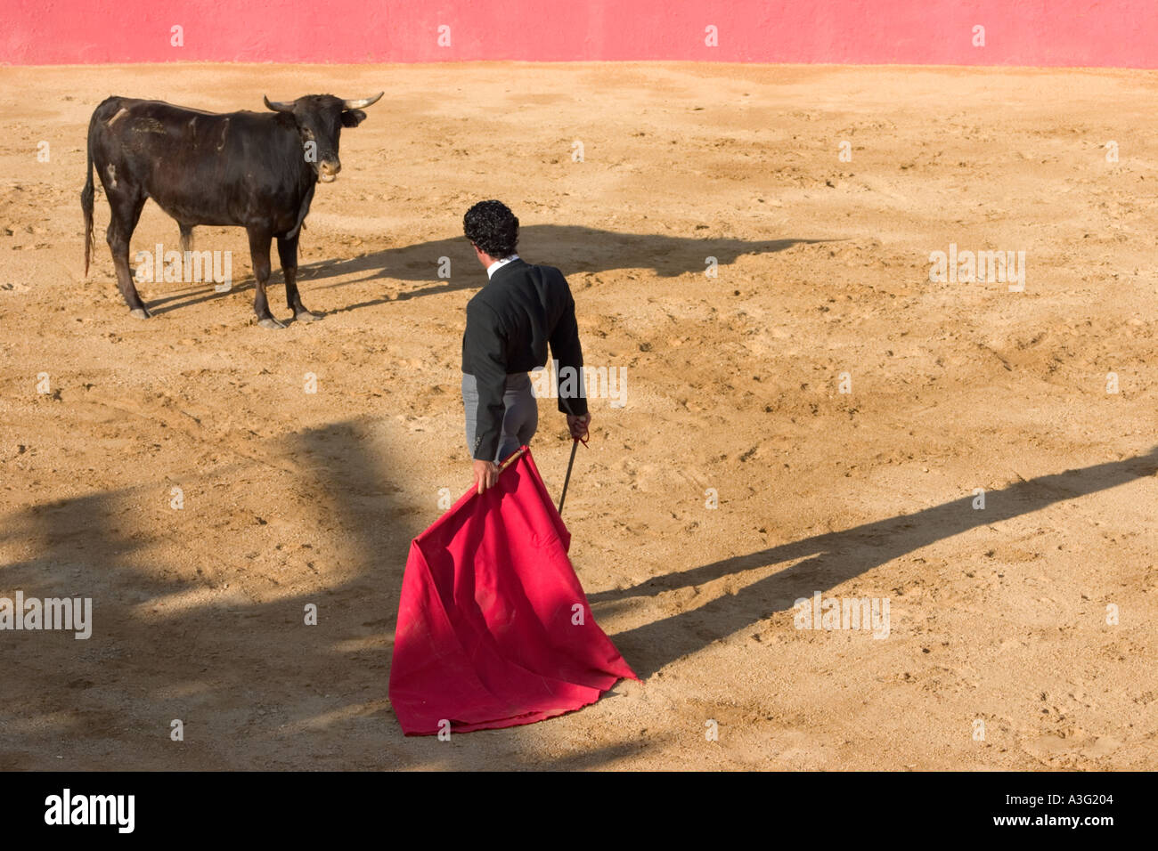 Opening stages of Bullfight Stock Photo - Alamy