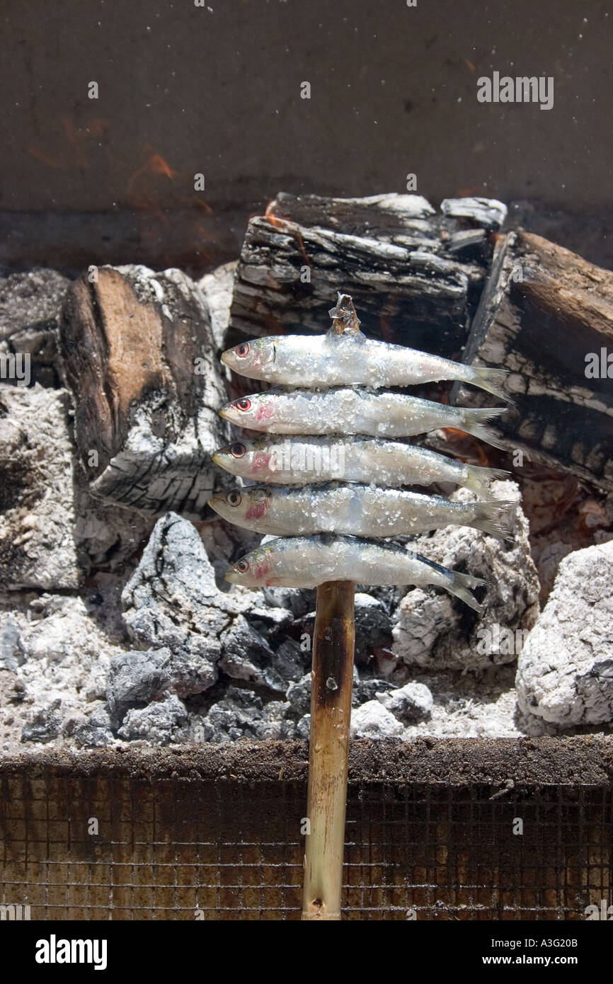 Five sardines hi-res stock photography and images - Alamy